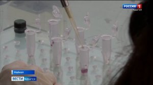 Студенческие научно-исследовательские коллективы АГУ представили результаты работы