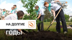 Металлурги СТЗ и выпускники школ посадили сирень и ели