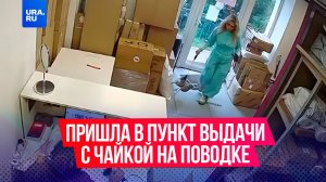Женщина пришла в пункт выдачи с чайкой на поводке в Санкт-Петербурге