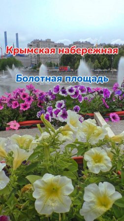 Крымская набережная, Лужков мост и Болотная площадь 📹