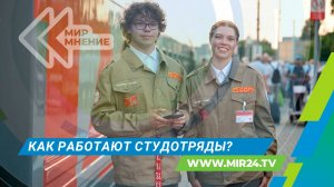 Трудовое лето: как сегодня работают студотряды?