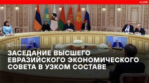 Заседание Высшего Евразийского экономического совета в узком составе
