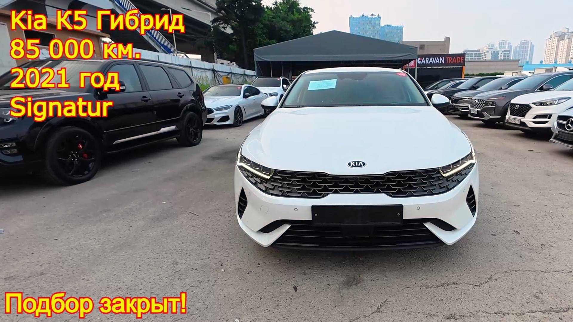 🚗 **Kia K5 Hybrid 2021 года, 85 000 км, версия Signatur — закрыт подбор! | Авторевизия.рф**