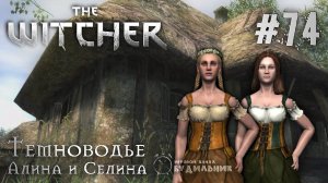 Ведьмак ➊ Прохождение The Witcher #74 ● Алина и Селина