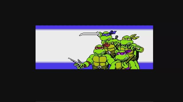Черепаший Ад или Teenage Mutant Ninja Turtles III: The Manhattan Project
