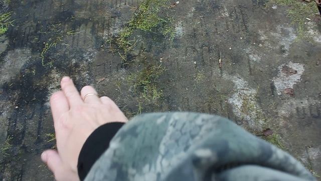 2. Приморье. старое кладбище