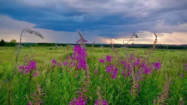 ЗЕЛЕНЕЕТ РОЖЬ РАНО ПО ВЕСНЕ...(Фото Надежды КОЛЕВАТОВОЙ (Вятка-Киров) - Юрий ШЕСТЕРНИН и Ансамбль Х