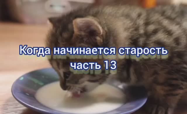 Когда начинается старость (часть 13)