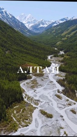Лето на Алтае
