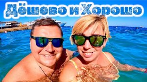 Египет 2025 🇪🇬 Первая линия за копейки! Marlin Inn Azur Resort 4*