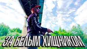 РЫБАЛКА НА ГОЛАВЛЯ, ПРИЕХАЛ В ЛЮБИМЫЕ МЕСТА, МНОГО ПОКЛЕВОК, СТРАШНАЯ ЖАРА, КАПРИЗНАЯ РЫБА.