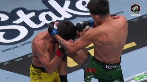 Хайдер Эмил против Хосе Мигеля Дельгадо (видео). UFC 317