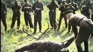 Кадочников демонстрирует 'Оленьи рога' – редкая техника рукопашного боя
