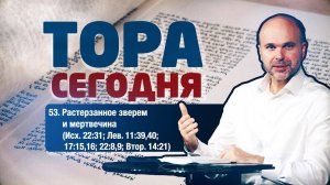 Тора сегодня 053: Растерзанное зверем и мертвечина (Исход 22:31; Левит 11:39,40; 17:15,16; 22:8,9..)