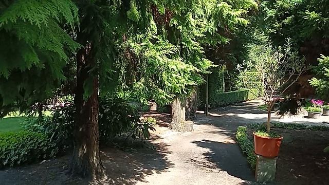 Тропарь греческий святым апостолам Петру и Павлу, 29 июня