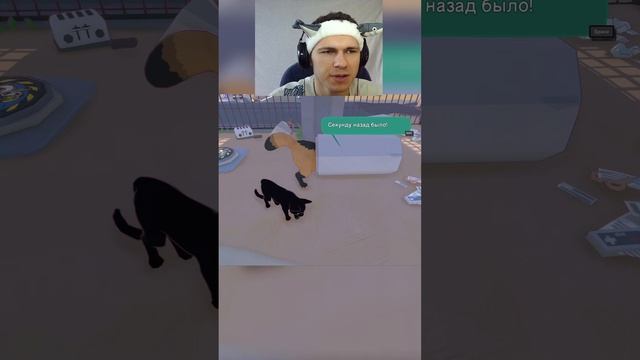 Спас енота в Little Kitty #аимыч #littlekitty #симуляторкота