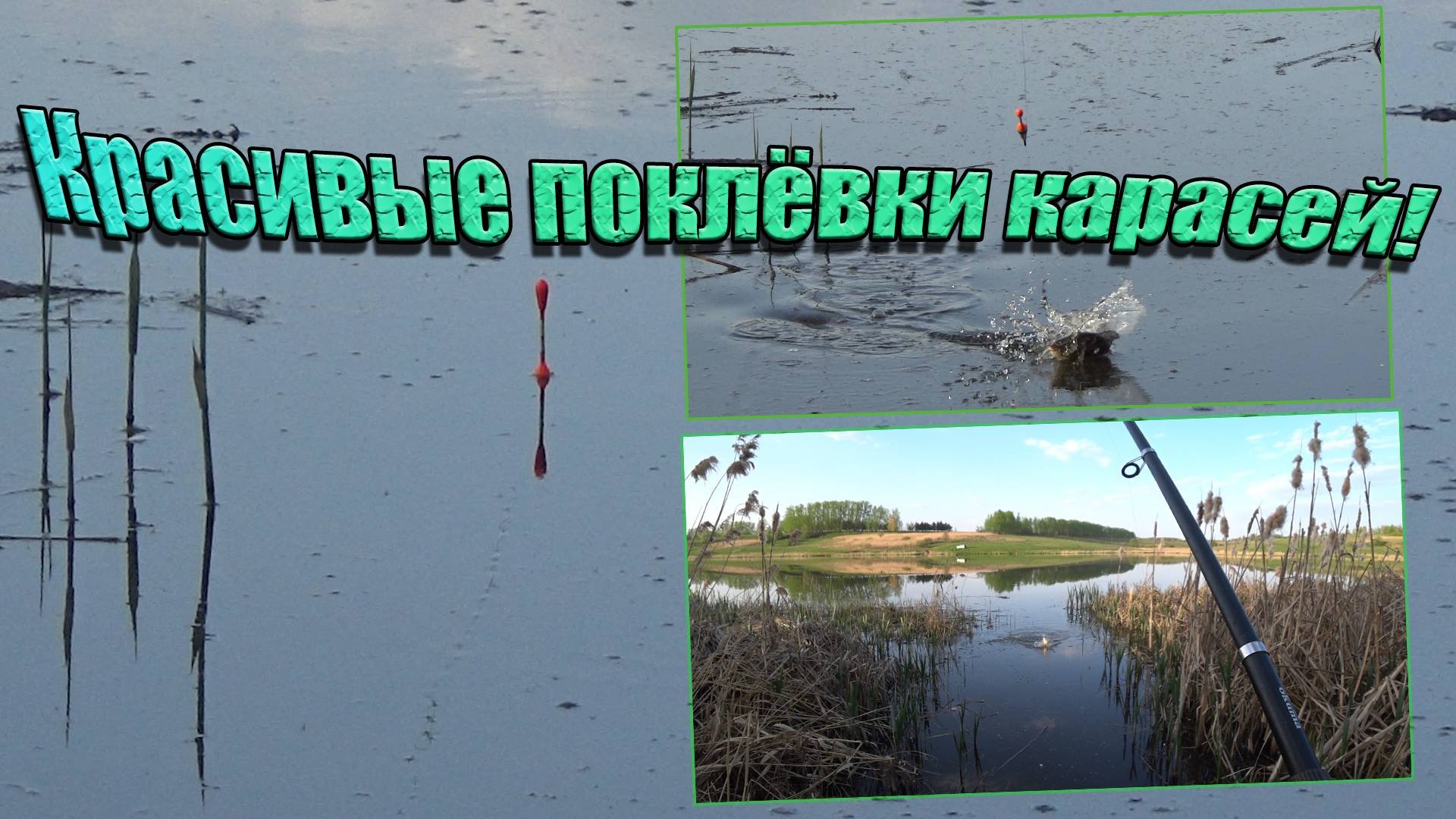 Ловля карасей, на поплавочную удочку, в камышах! Рыба пришла на прикормку, и устроила бешеный клев!