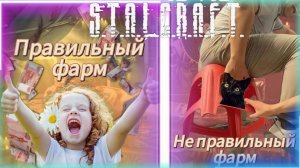 Фарим на Институте Сталкрафт | Заработок за 30 минут