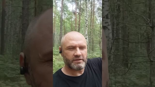 Работа раций Штурман 200 и Штурман 230М в плотном лесу с перепадами высот #cb #рации #сиби #лес