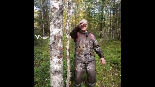 Тренировка в лесу Training in the forest