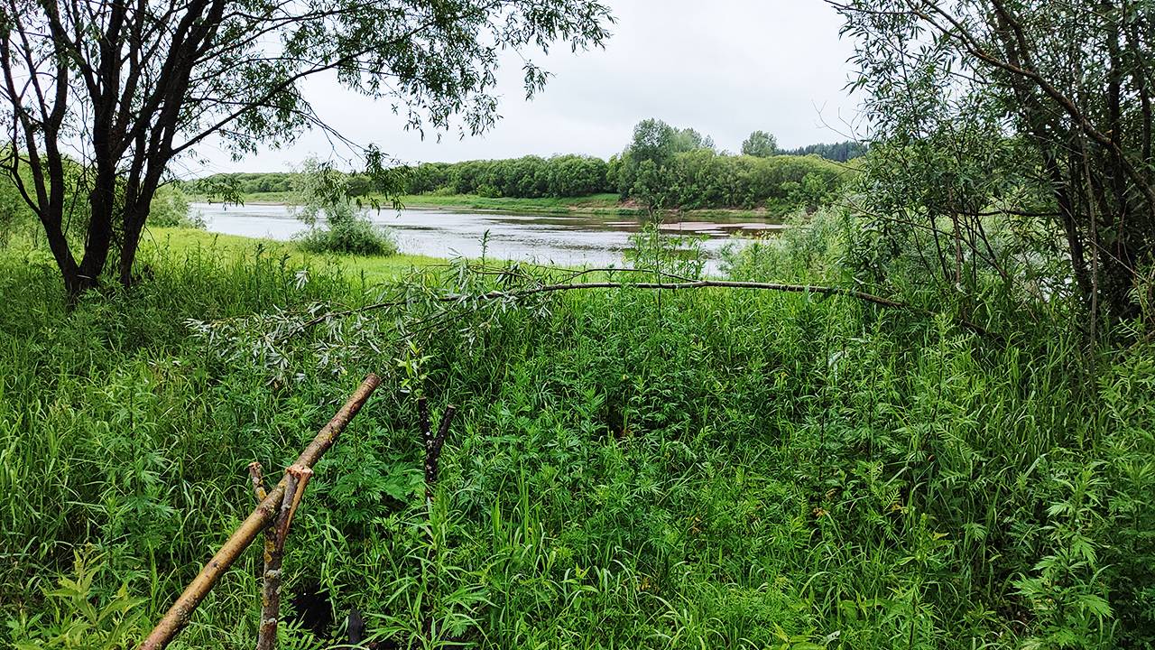 Рыбалка на Вятке с ночевкой. Крупный лещ, суп харчо на костре. Ветер и дождь!