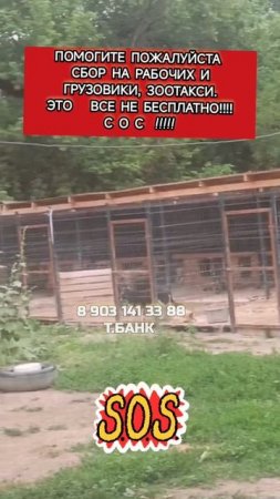 Временный дом, приют в Казахстане в беде , помогите пожалуйста.