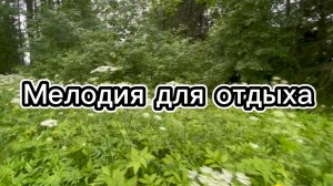 Мелодия для отдыха, красивая инструментальная музыка