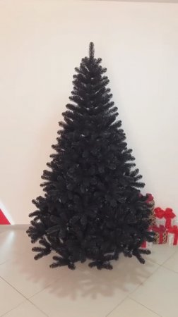 Ель "Черная жемчужина"