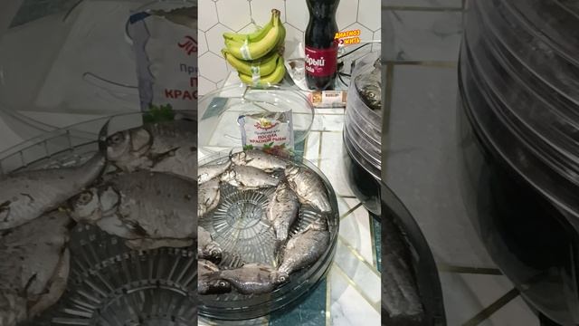 Сушим КАРАСИКОВ