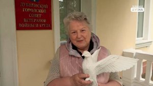 В ближайшие дни Голубя вернут на фонтан в Дубне