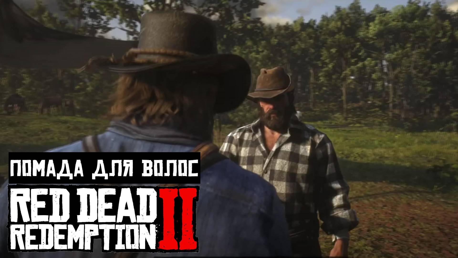 Red Dead Redemption 2 | Просьбы спутников | Помада для волос Билла