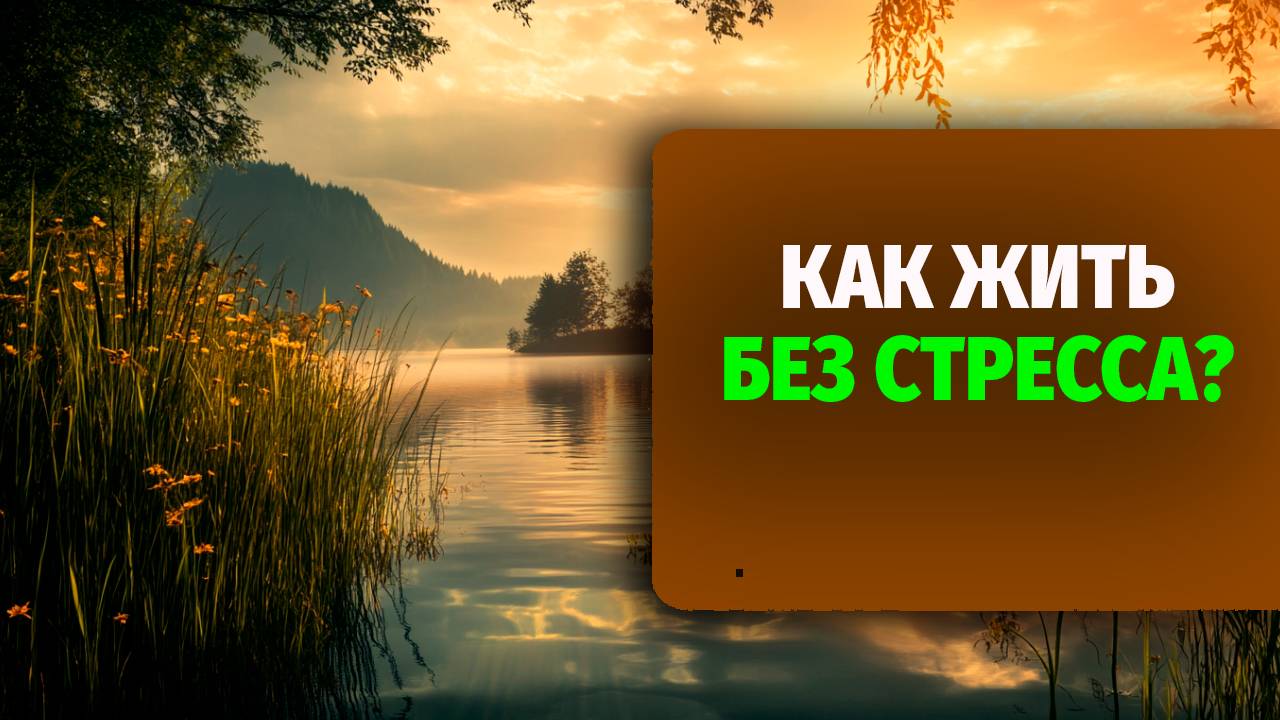 Как жить без стресса — и зачем тебе адаптивная психика