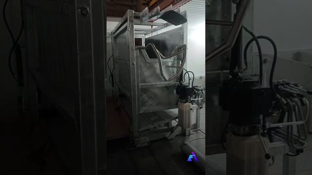 Процесс сборки модуля убоя КРС и МРС по Халал , с холодильной и бытовой зоной