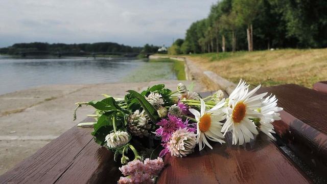 Ненаглядный ангел мой..