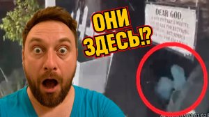 Камера наблюдения засняла существо с вытянутой головой, похожее на серого пришельца ЗАПИСЬ СТРИМА