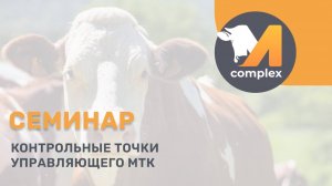 Контрольные точки управляющего МТК | Семинар М-комплекс