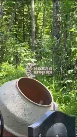 На кладбище в посёлке Каз Таштагольского округа заметили медведя