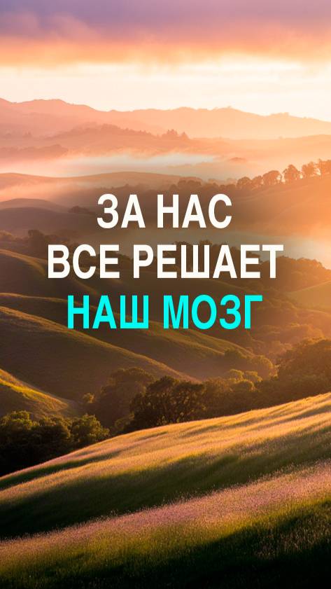 Мозг решает за тебя — ты просто узнаёшь об этом последним