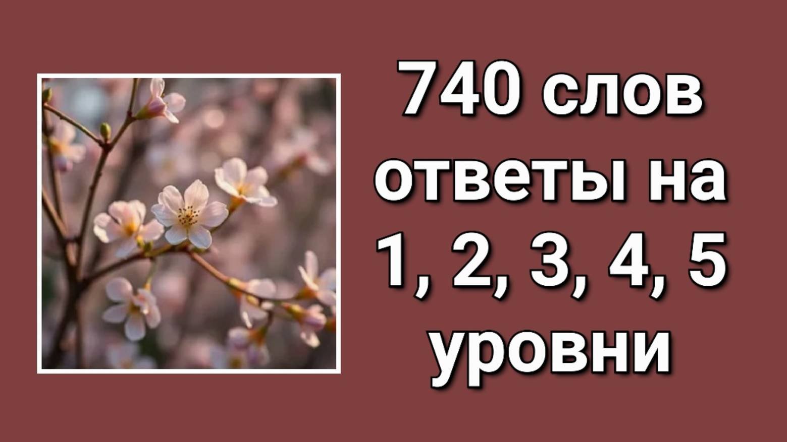 Словесная игра 740 слов ответы 1, 2, 3, 4, 5 уровни