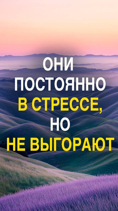 Они живут в постоянном стрессе — и это нормально (почти)