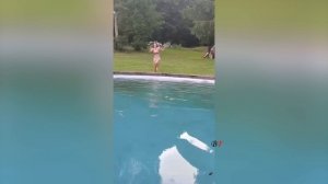 смешная подборка видео 8 😂😂