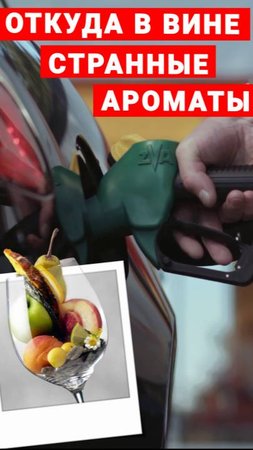Откуда в вине резина, кожа и котики?
