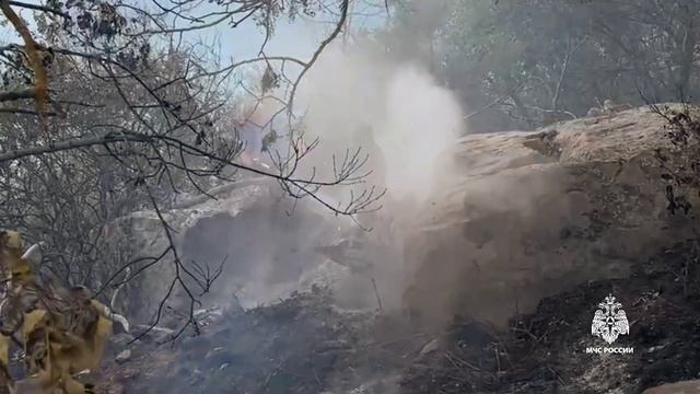 На Южном берегу Крыма продолжают тушить лесной пожар