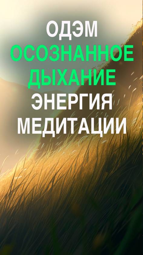 Клуб ОДЭМ — пространство, где можно просто дышать