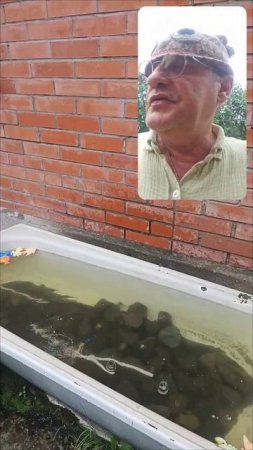 Привороты отвороты на дождевую воду любовный треугольник