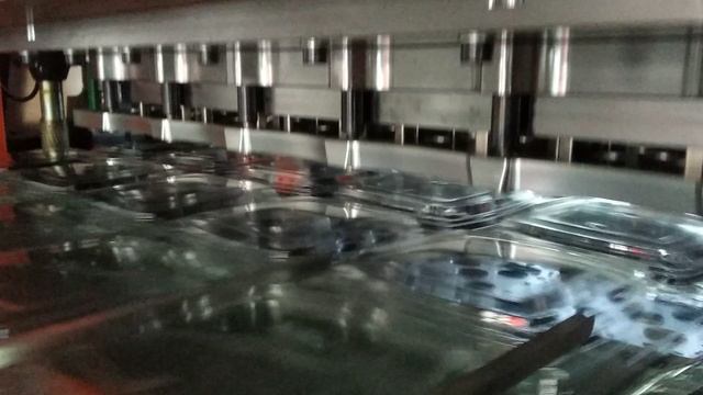 Производства ПЭТ-крышек с отверстиями на термоформовочной машине ER 130