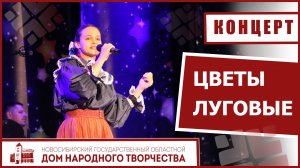 Цветы луговые