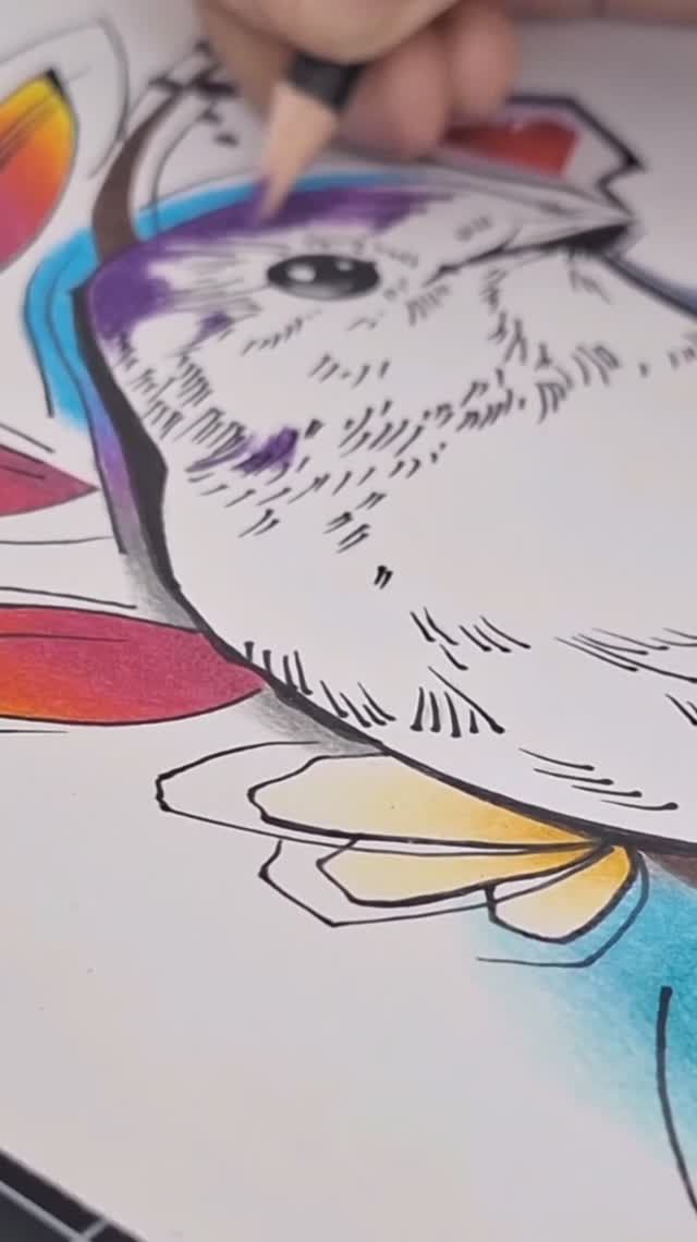 МАСТЕР-КЛАСС: РИСУЕМ ПТИЦУ ЦВЕТНЫМИ КАРАНДАШАМИ KORES KOLORES