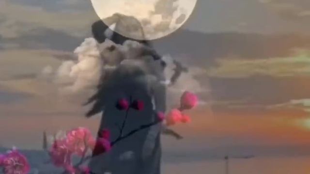 Видео. Диско....Инструментальная.