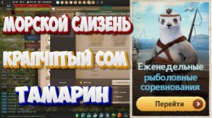 БДО. Рыболовные соревнования. 30.06--05.07 2025. Морской слизень, Крапчатый сом, Тамарин. КООРДИНАТЫ